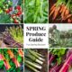 Fresh Spring Produce Guide + Delicous Recipes