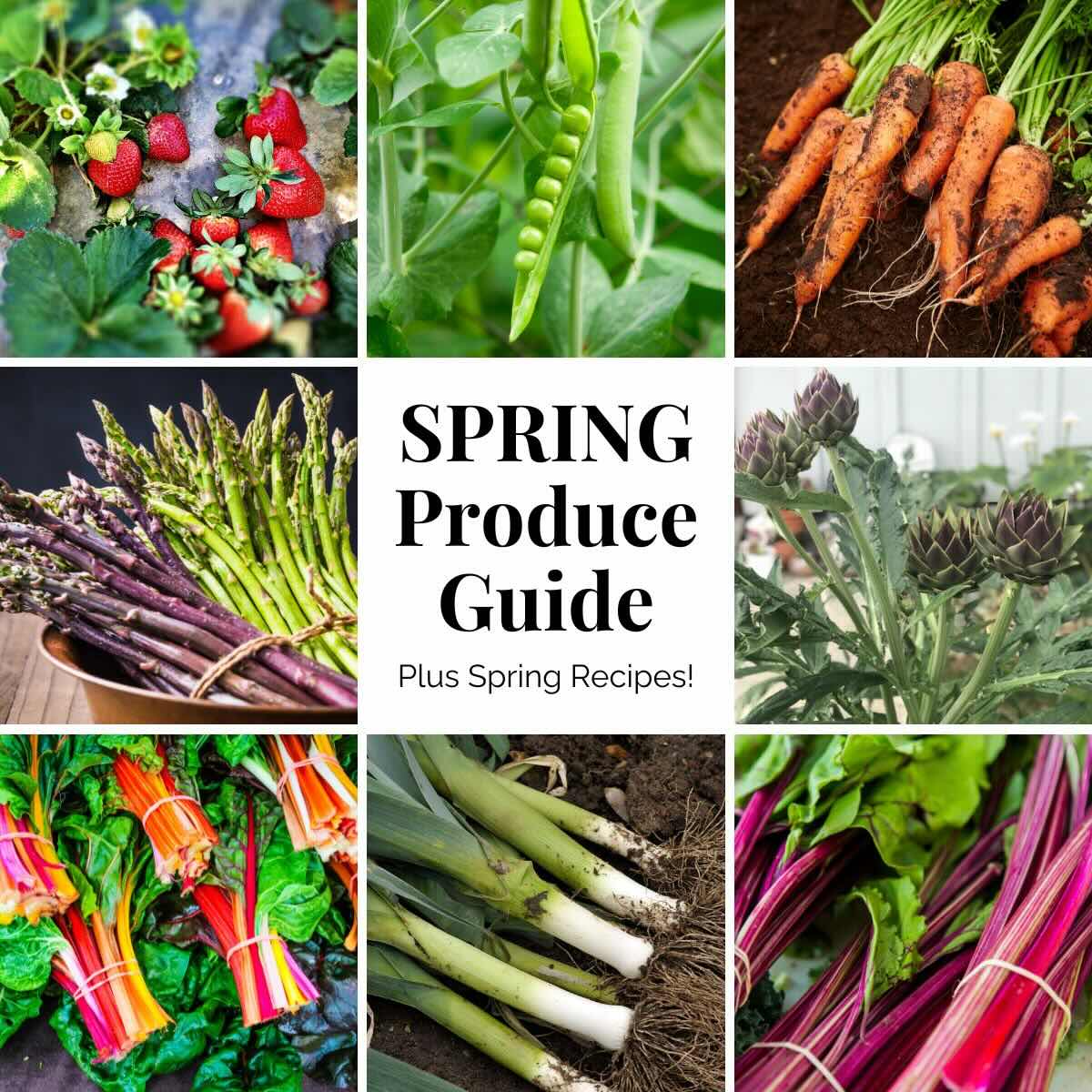 Fresh Spring Produce Guide + Delicous Recipes